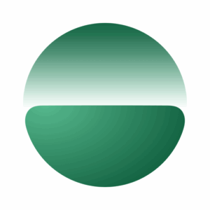 Talon Enterprise Browser: Pros, Cons, and 5 Alternative Solutions